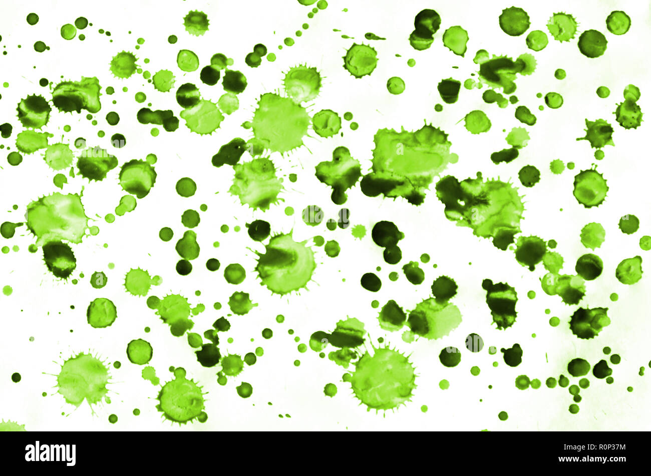 Light green watercolor background on white paper. For the text ...