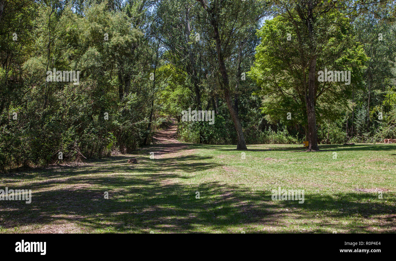 Nkwe Nature reserve and recreational area, Pretoria, South Africa Stock ...
