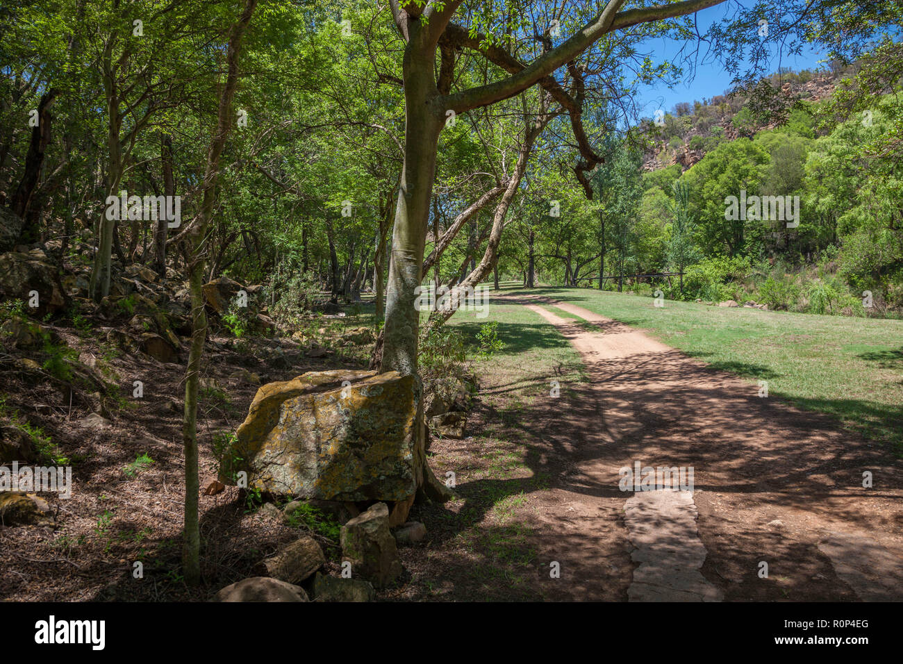 Nkwe Nature reserve and recreational area, Pretoria, South Africa Stock ...