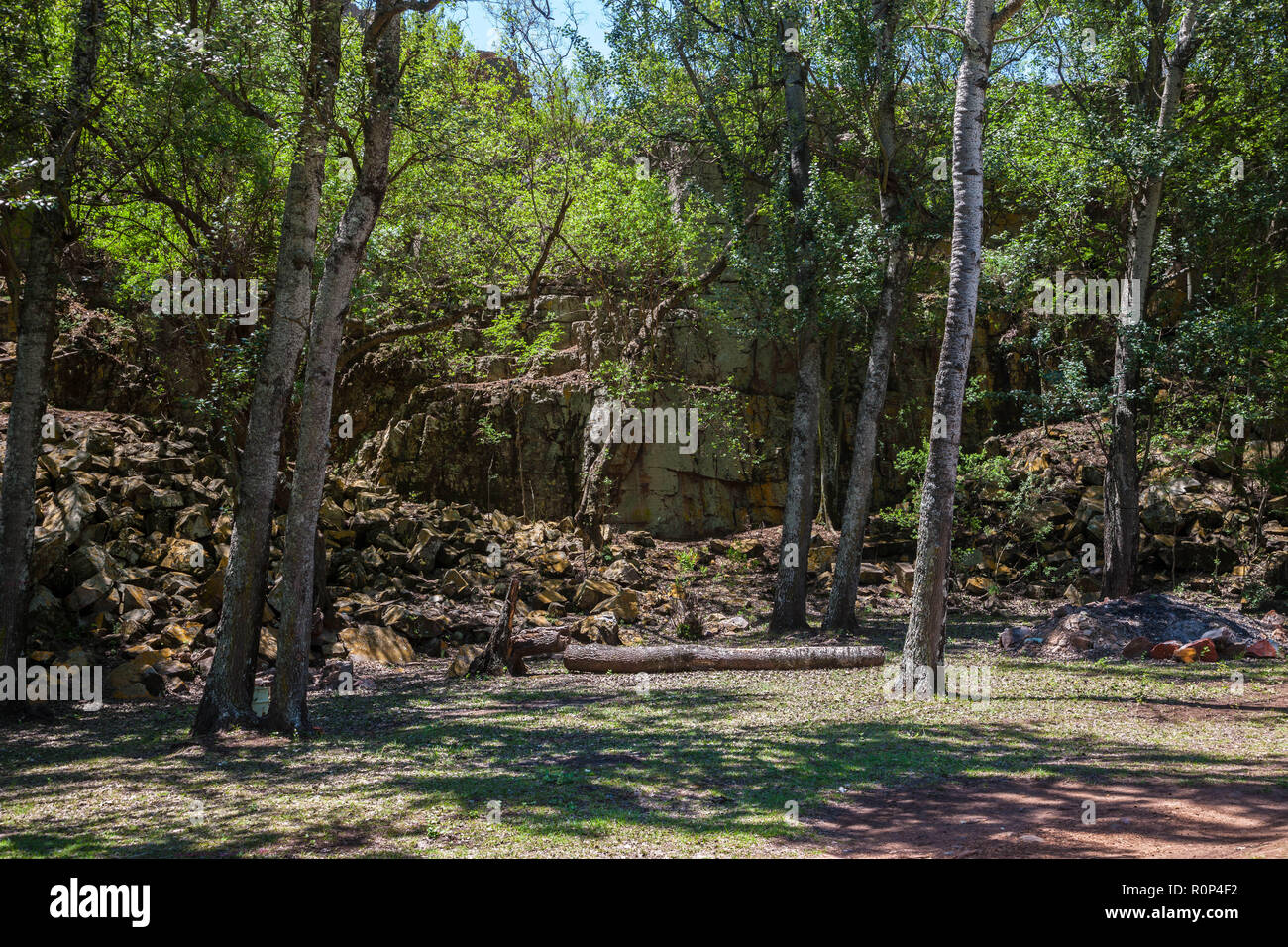Nkwe Nature reserve and recreational area, Pretoria, South Africa Stock ...