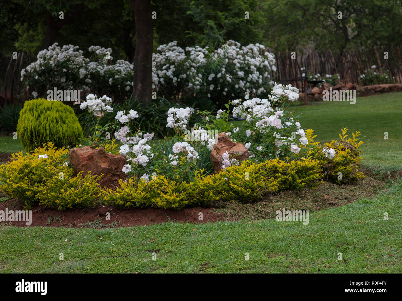 Nkwe Nature reserve and recreational area, Pretoria, South Africa Stock ...