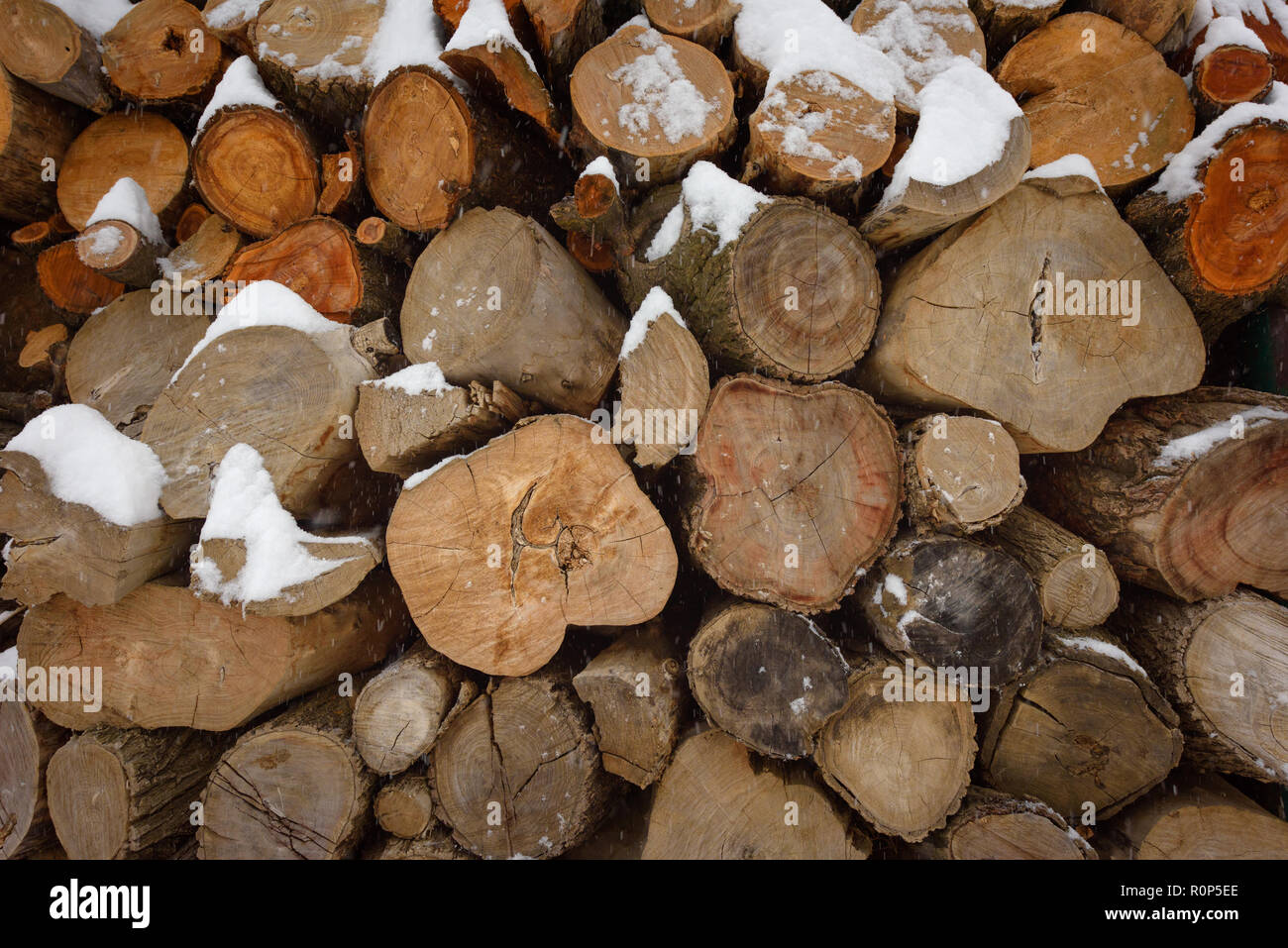 Faces of logs in winter. Woodpile of firewood under snow. Abstract ...