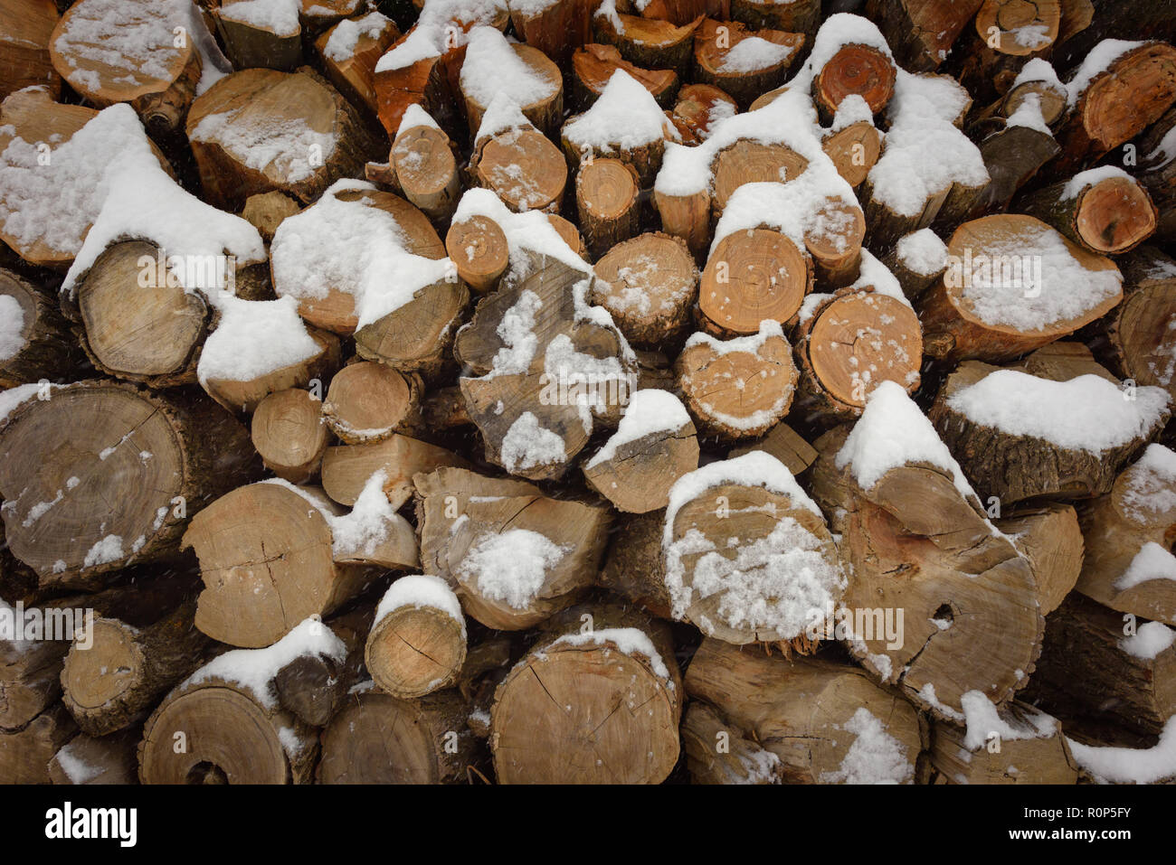 Faces of logs in winter. Woodpile of firewood under snow. Abstract ...