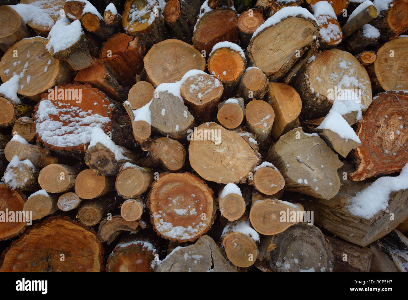 Faces of logs in winter. Woodpile of firewood under snow. Abstract ...