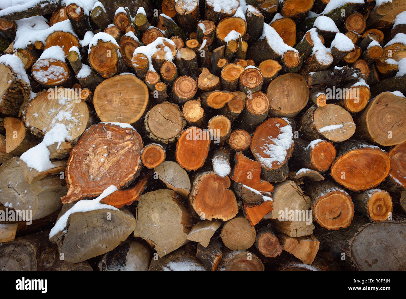 Faces of logs in winter. Woodpile of firewood under snow. Abstract ...