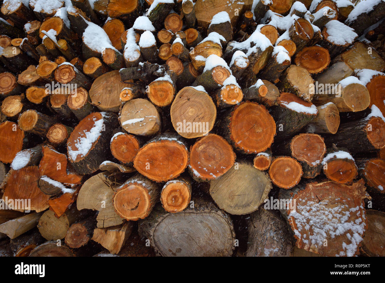 Faces of logs in winter. Woodpile of firewood under snow. Abstract ...