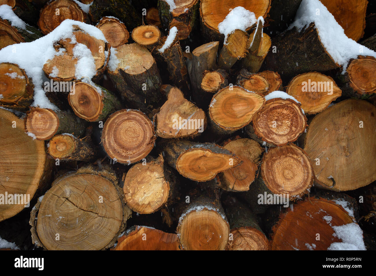 Faces of logs in winter. Woodpile of firewood under snow. Abstract ...