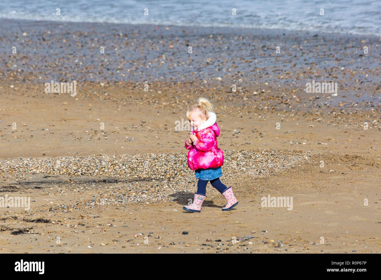 Collecting shells at the beach hi-res stock photography and images - Alamy