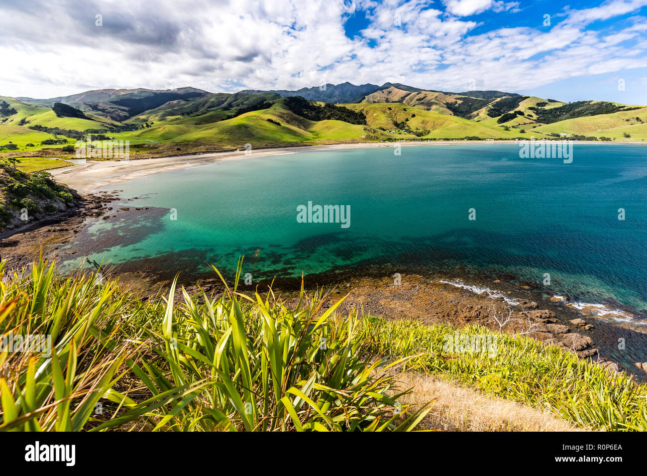 Jackson Bay at Coromandel Peninsula, New Zealand Stock Photo - Alamy