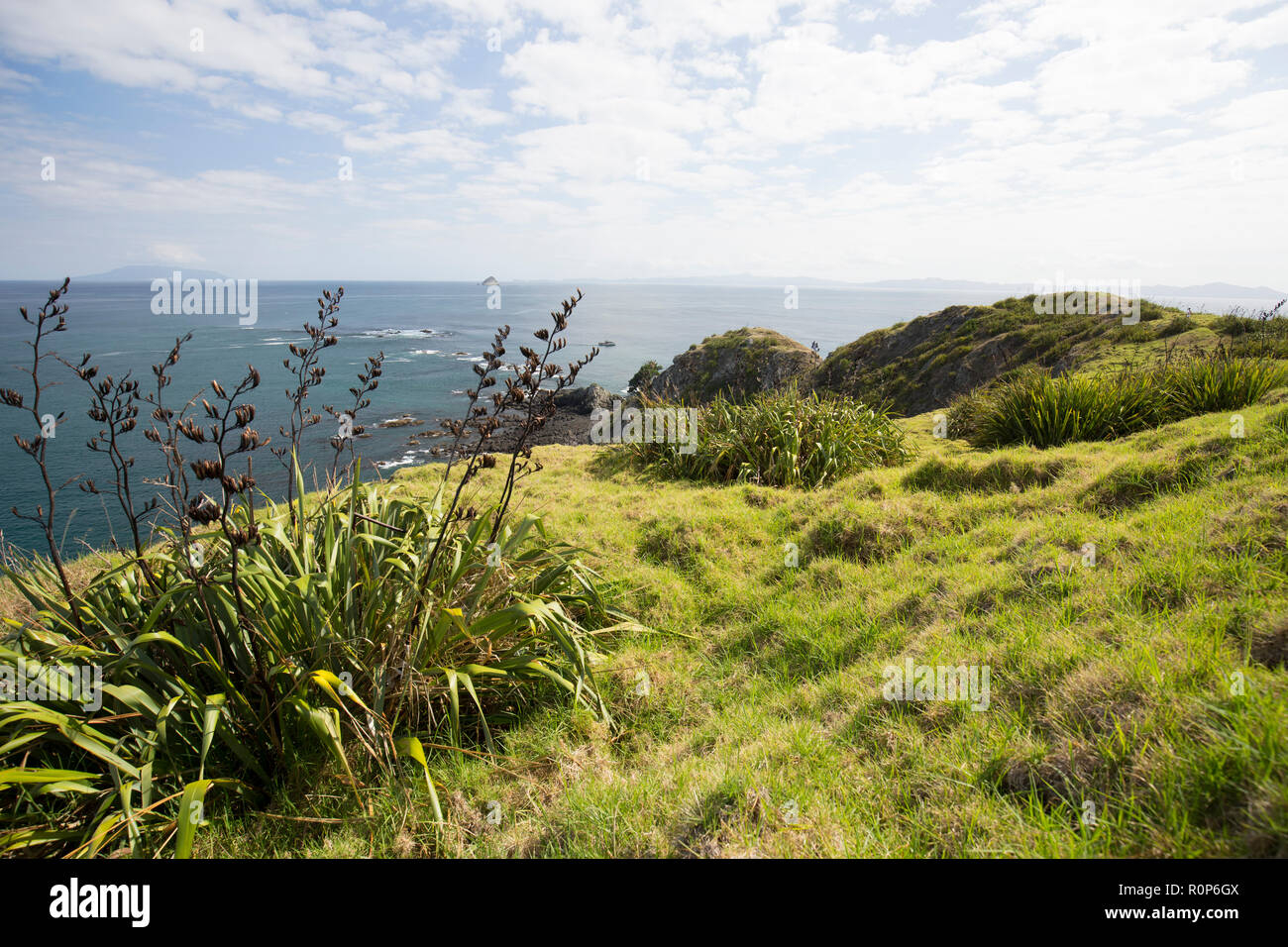 Jackson bay hi-res stock photography and images - Alamy