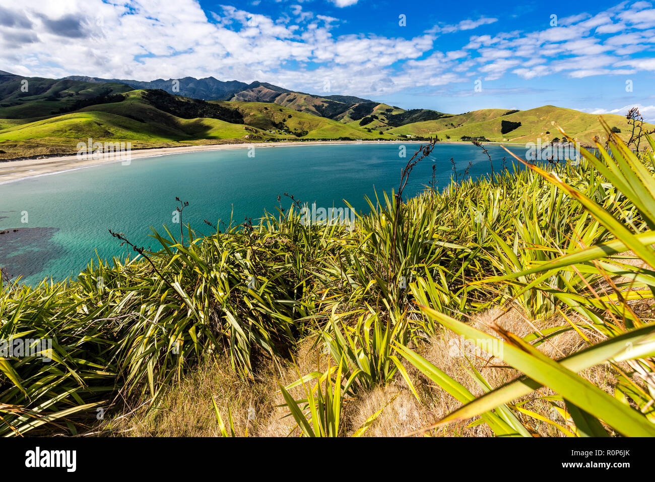 Jackson Bay at Coromandel Peninsula, New Zealand Stock Photo - Alamy
