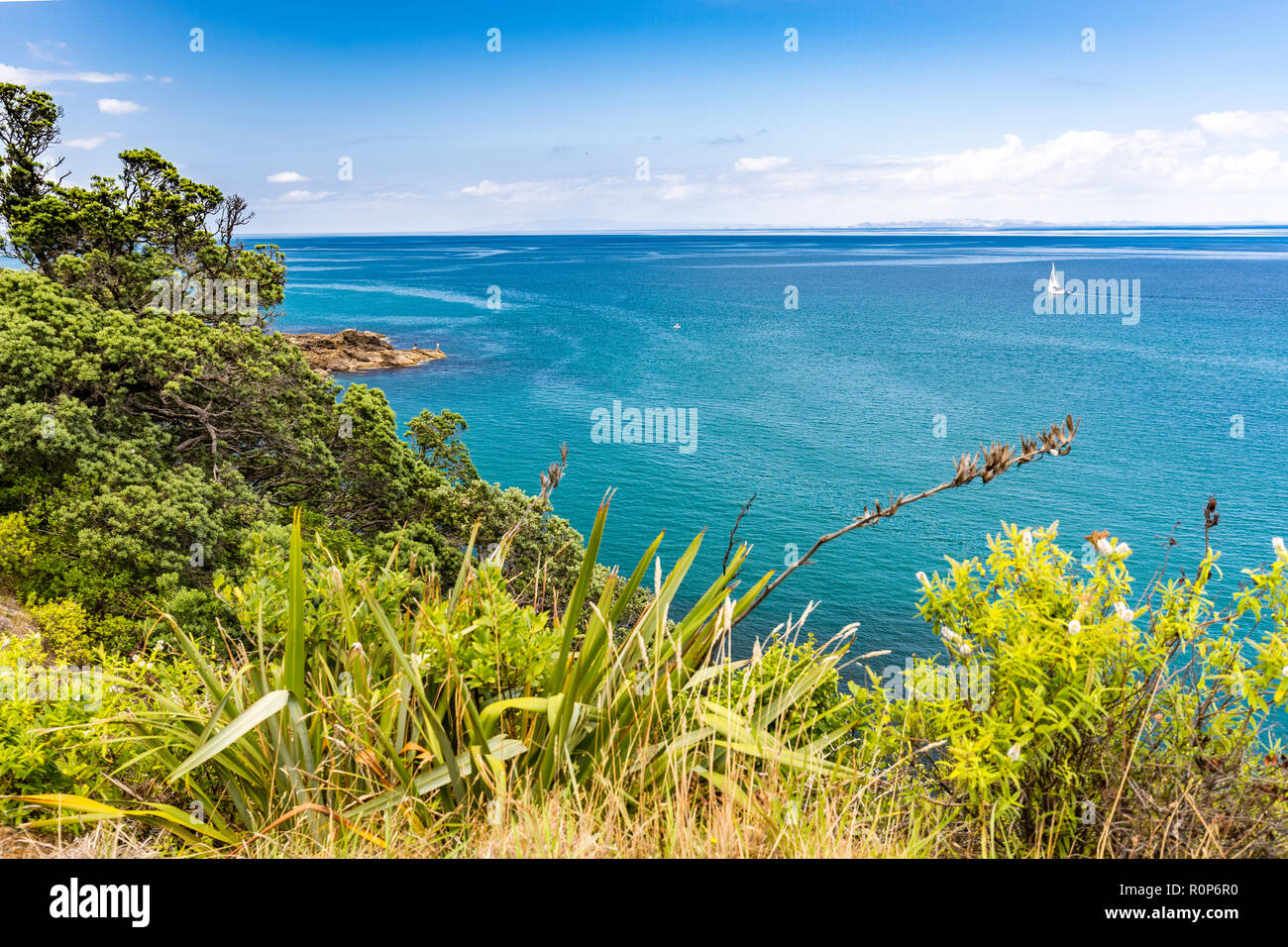 Jackson bay hi-res stock photography and images - Alamy