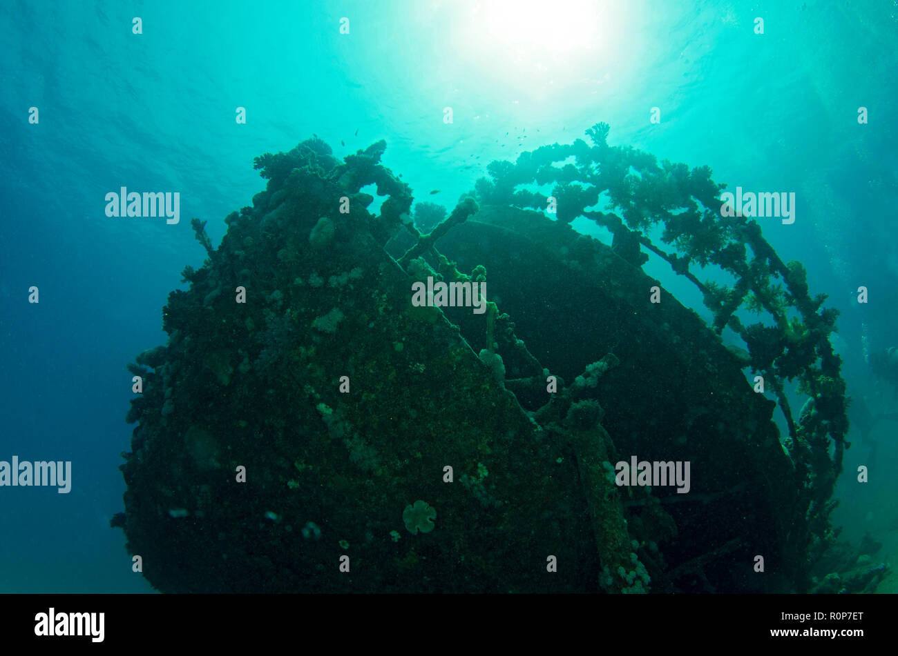 Hamada shipwreck at Abu Ghusun, Red Sea, Marsa Alam, Egypt Stock Photo ...