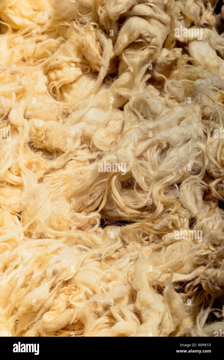 Heap of wool as a texture background Stock Photo - Alamy