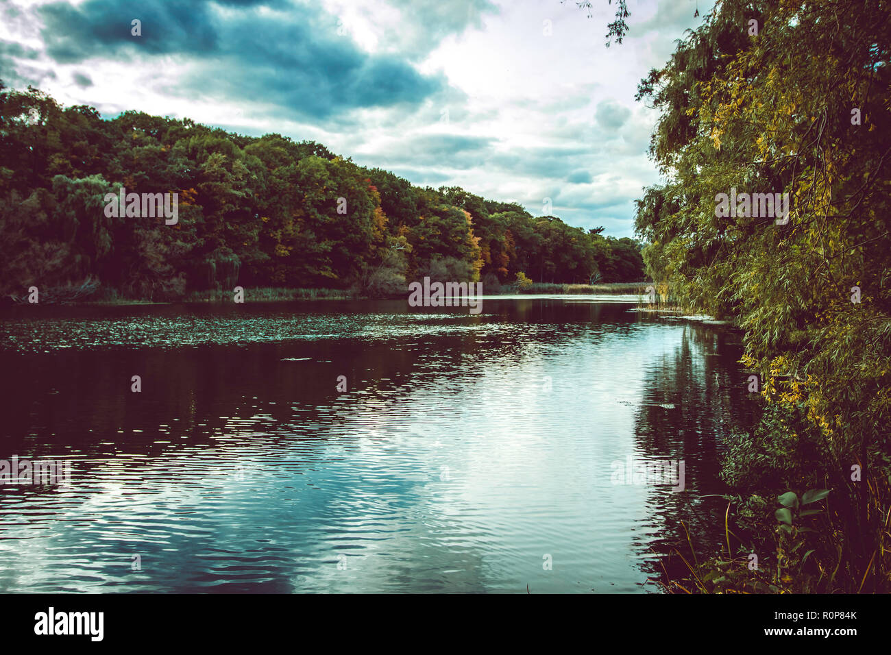 Fall time in High Park Toronto Stock Photo - Alamy