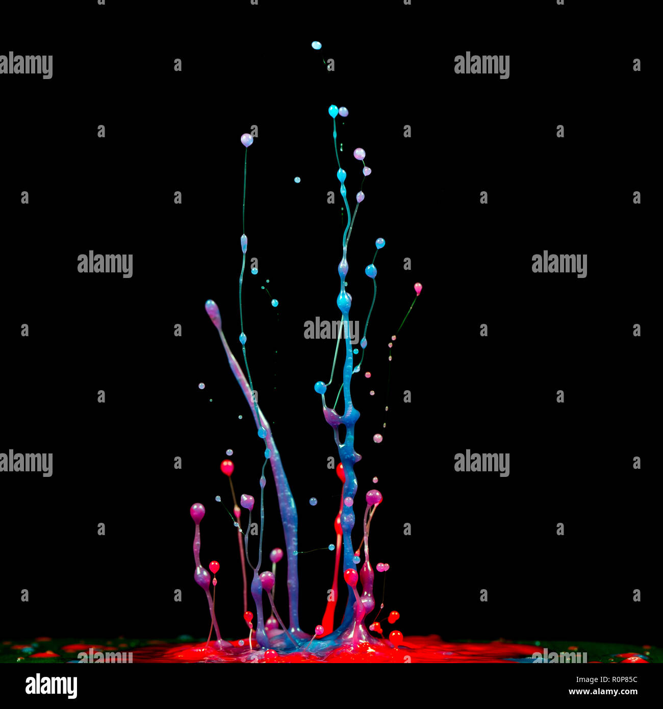 Explosion of splashes and bursts of color fluid paint ink on black ...