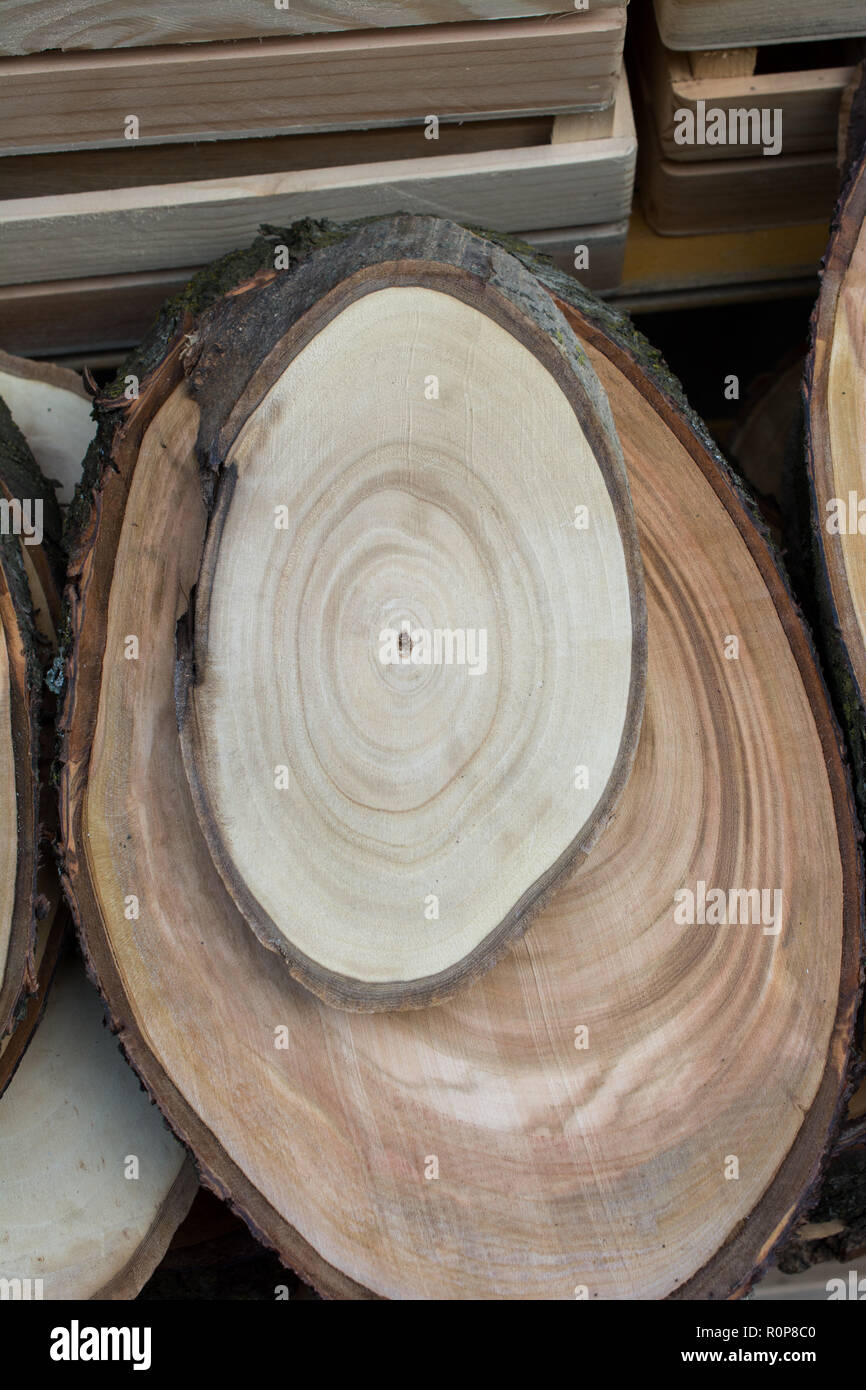 Piece of cut wood log texture as background Stock Photo - Alamy