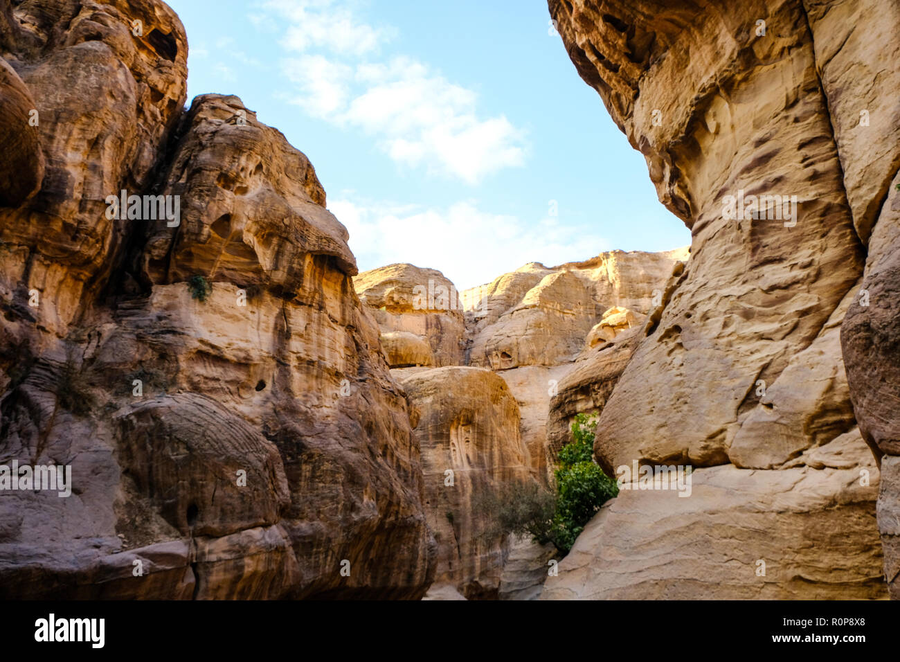 Petra, Wadi Mousa, Hashemite Kingdom of Jordan Stock Photo - Alamy