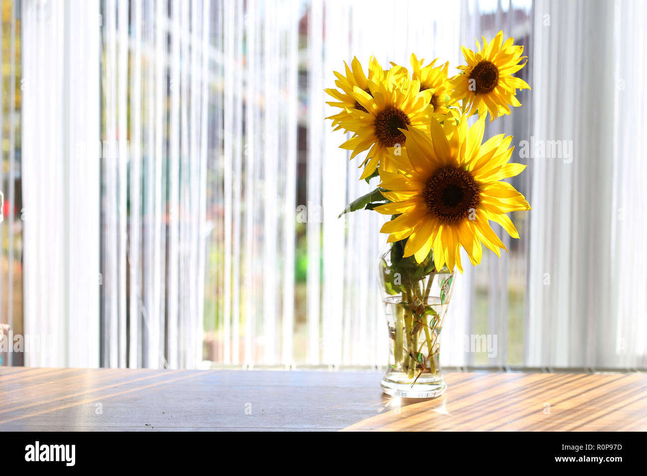 Bouquet of beautiful sunflowers stands in front of the window Stock ...