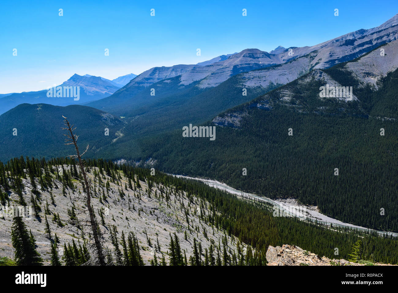 scenery from the trails in the Rocky mountains of Alberta Canada Stock ...
