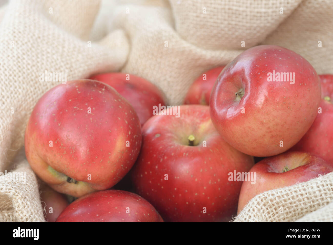 group of red apples on jute textile background Stock Photo - Alamy