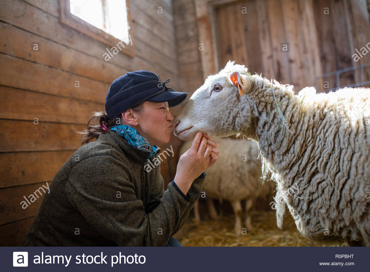 Farmer and her sheep hi-res stock photography and images - Alamy