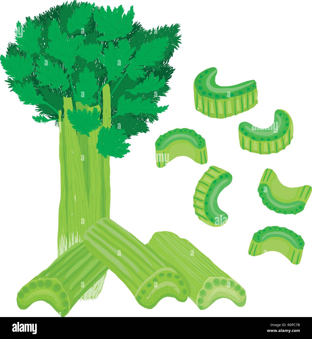 Vector painterly set with celery stalk, chopped and in julienne ...