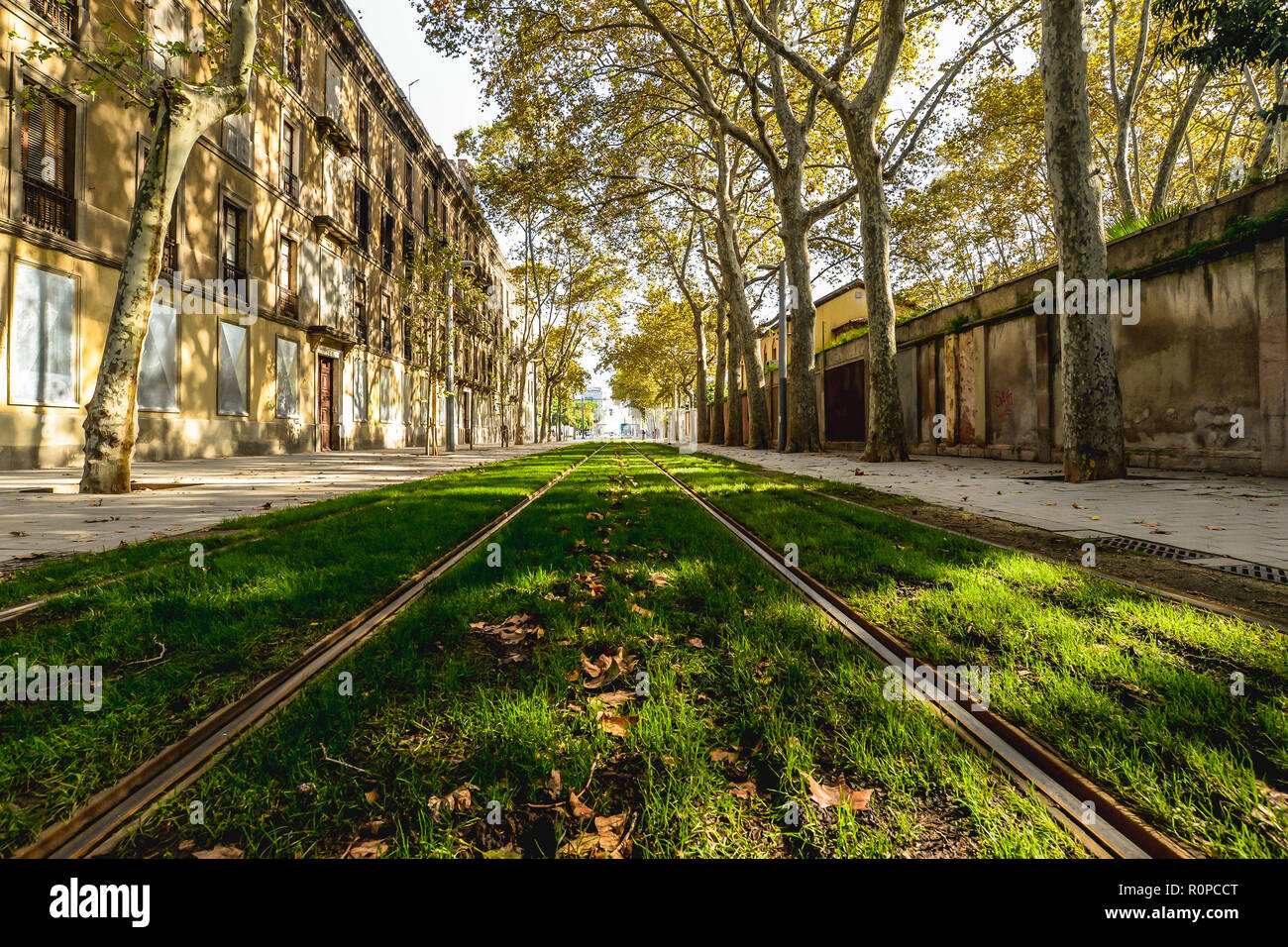 Barcelona tram grass hi-res stock photography and images - Alamy