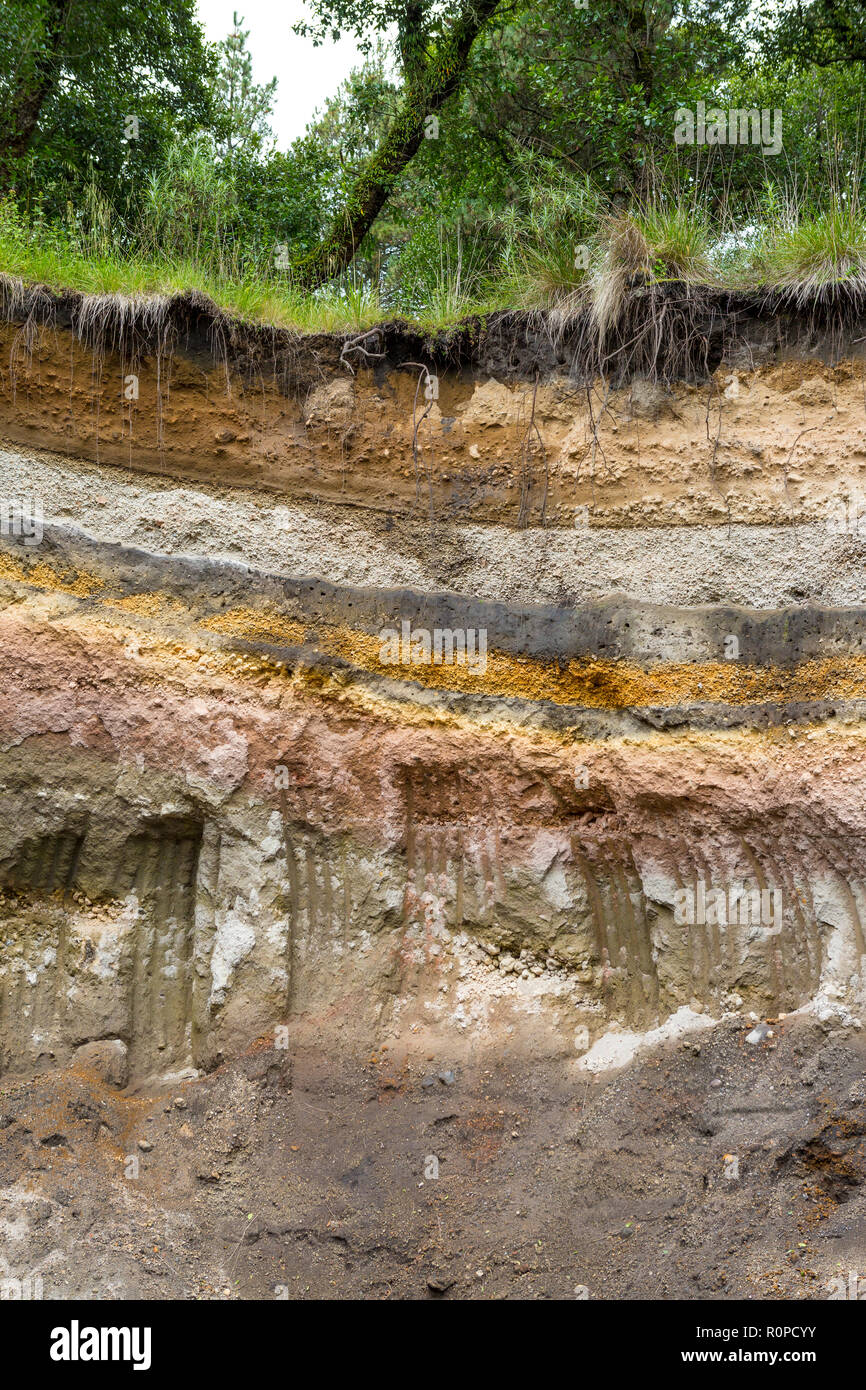 Layers of mixed volcanic sediments, Iztaccihuatl Popocatepetl National ...
