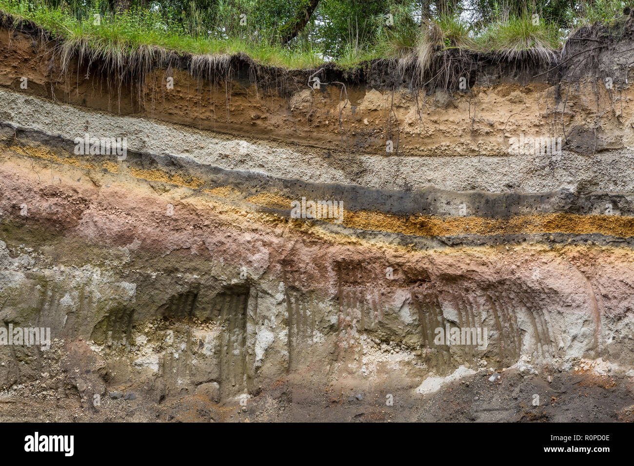 Layers of mixed volcanic sediments, Iztaccihuatl Popocatepetl National ...