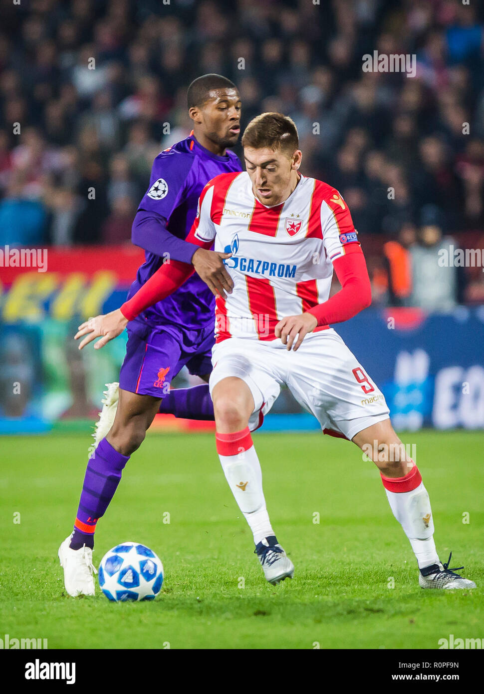 FK Cukaricki Stadium, Belgrade, Serbia. 06th Nov, 2018. UEFA Champions ...