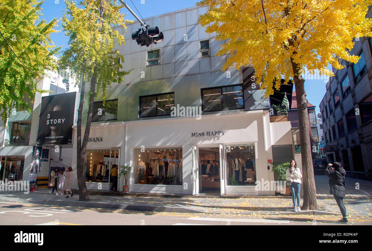 Garosu-gil, Nov 1, 2018 : Garosu-gil in Gangnam district, Seoul, South ...