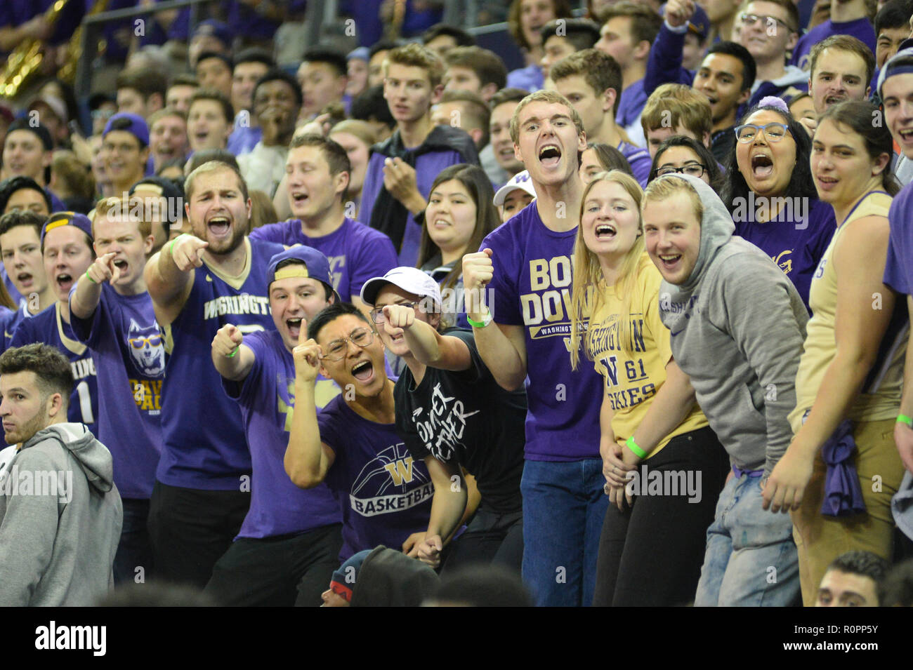 Seattle, WA, USA. 6th Nov, 2018. The Dawg Pack - UW student section in ...