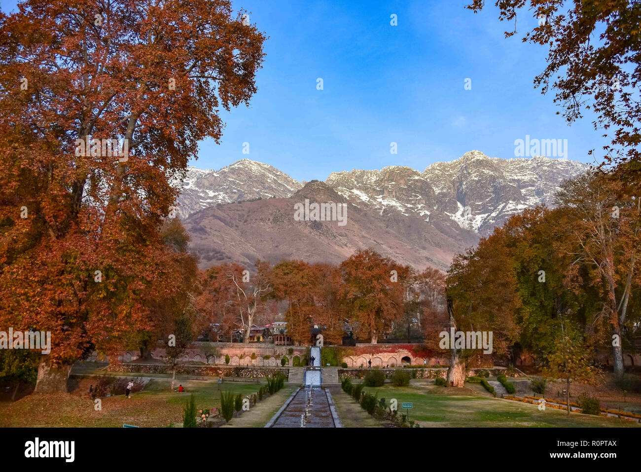 Partition of india walking hi-res stock photography and images - Alamy