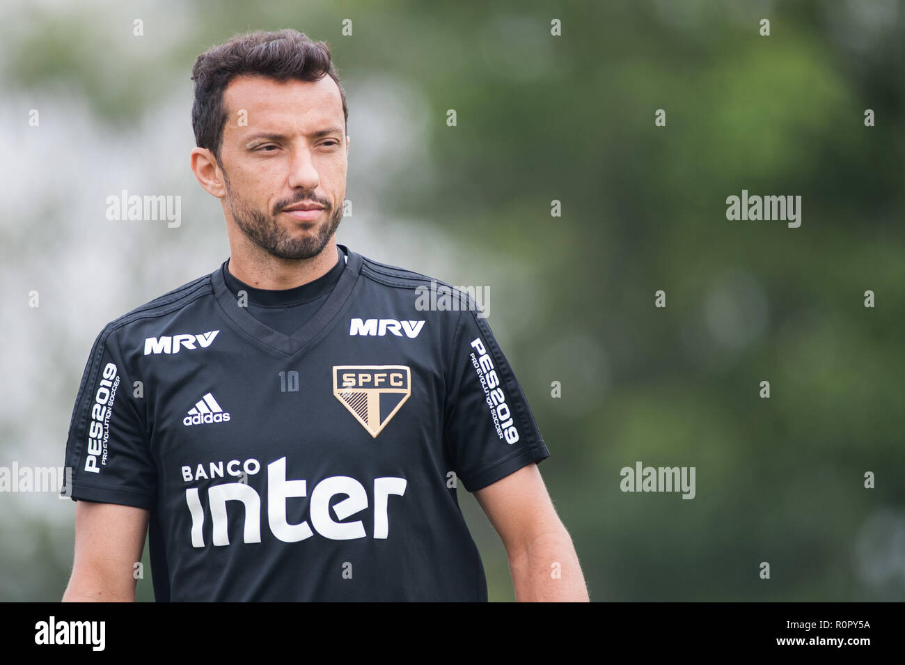 Nene 11 hi-res stock photography and images - Alamy