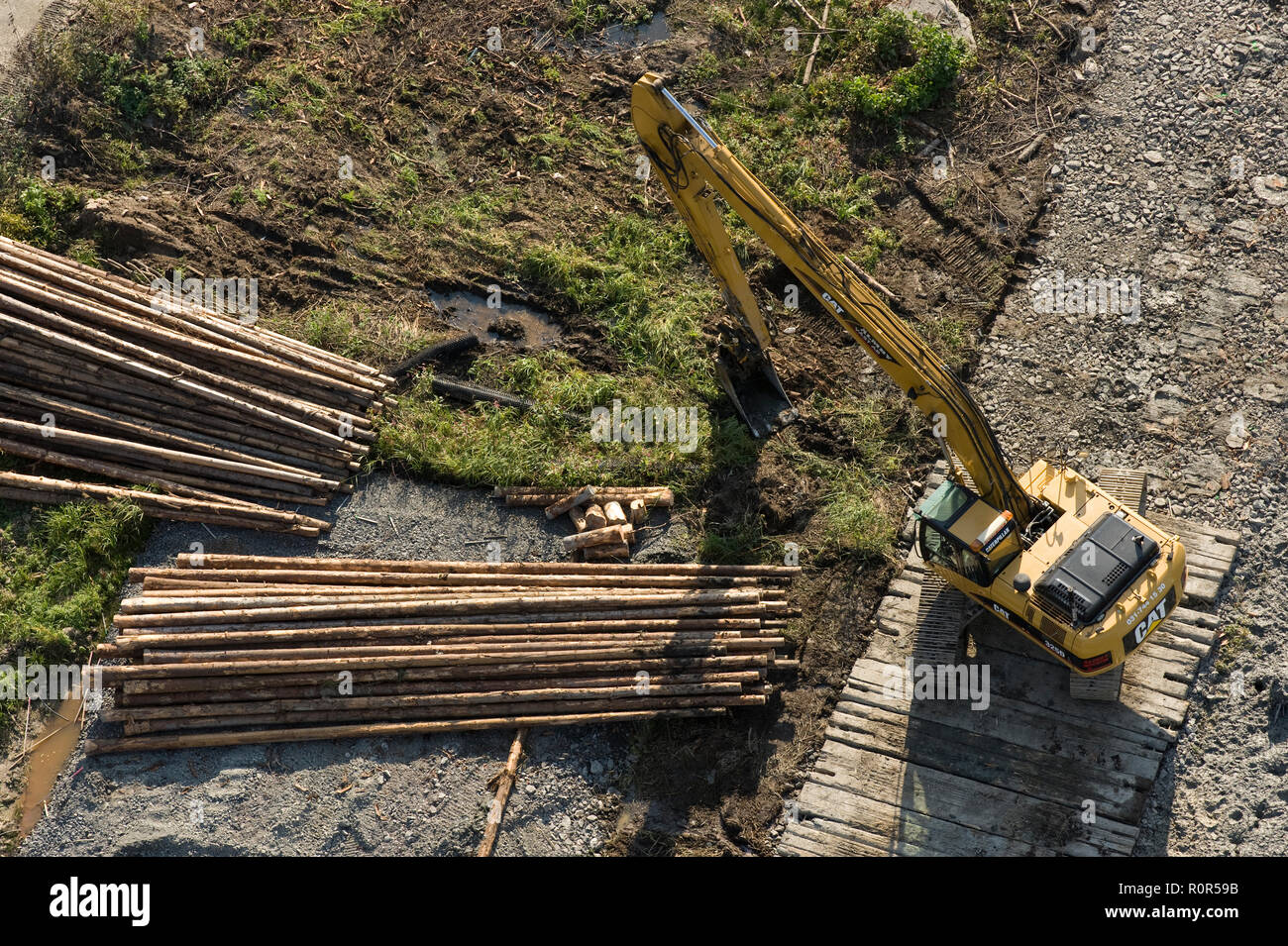 Deforestation, clearance, or clearing is the removal of a forest or ...