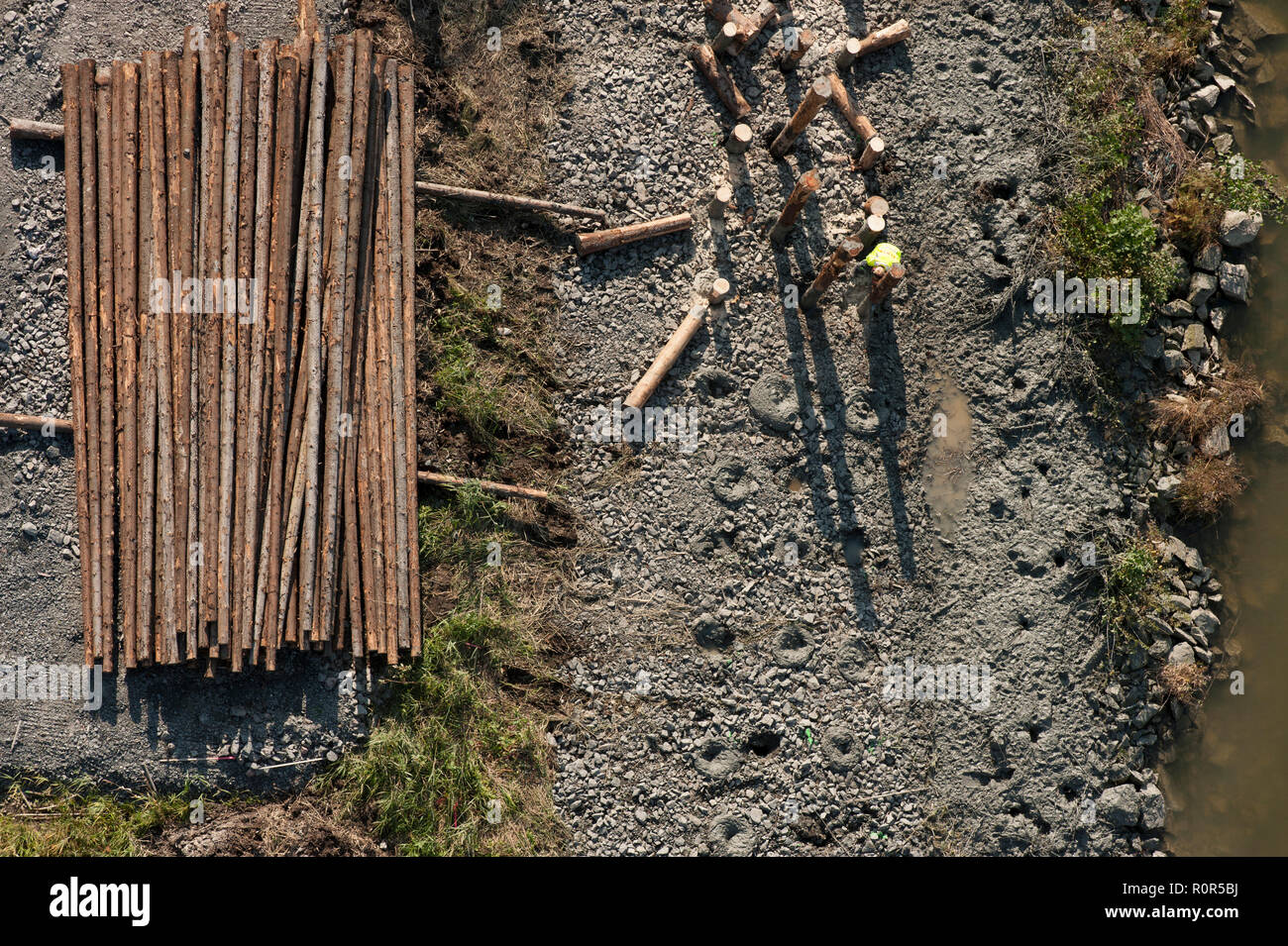 Deforestation, clearance,clearing, removal,forest, trees, land ...