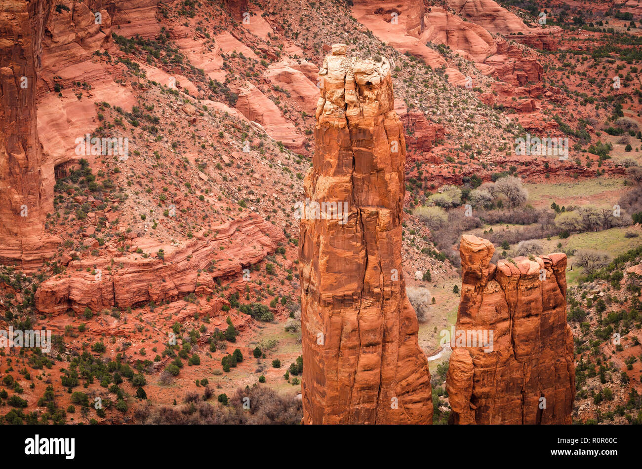 Spider Rock, Canyon de Chelly National Monument, Arizona USA Stock ...