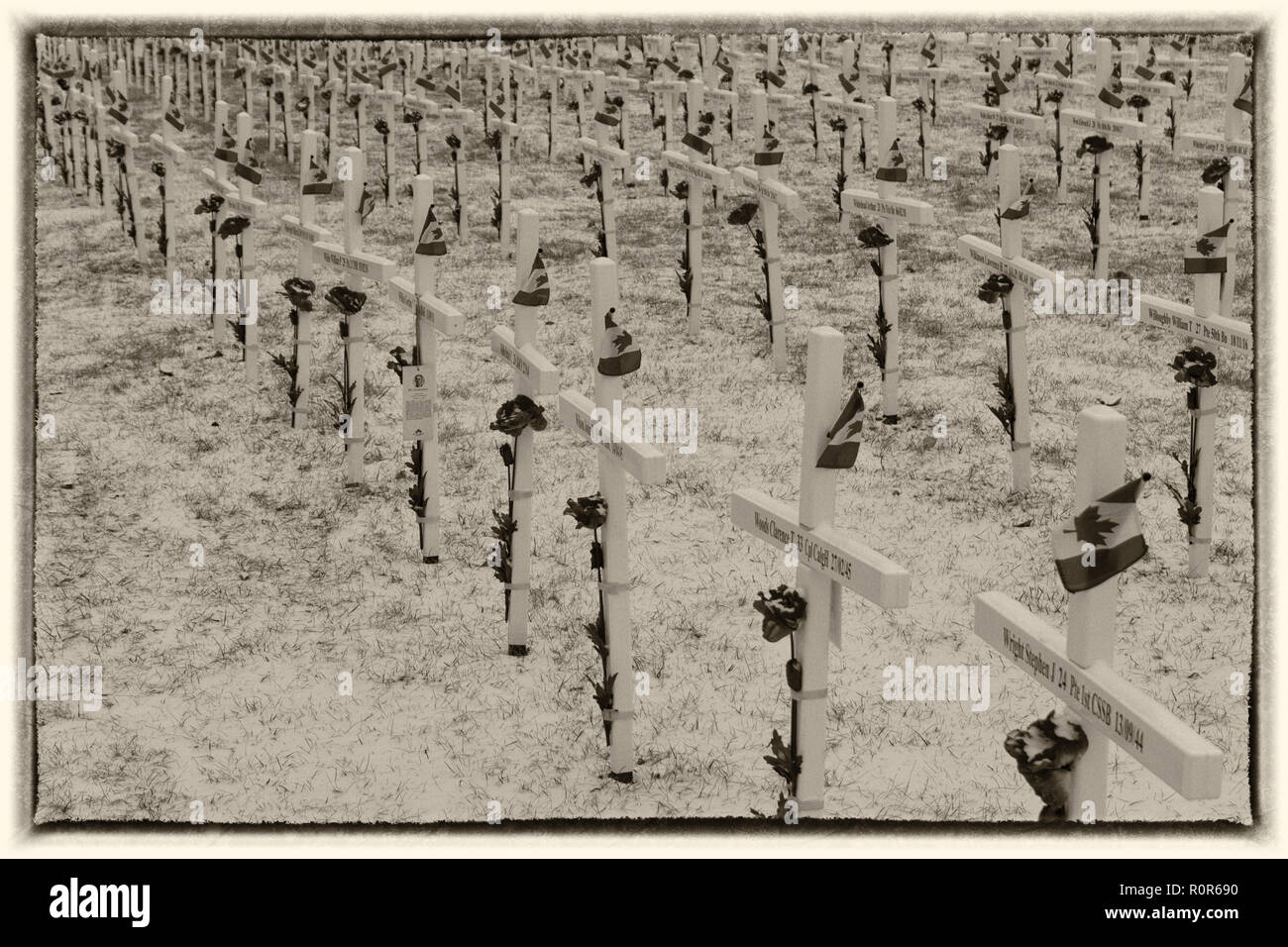 Field Of Crosses Calgary Alberta Canada Stock Photo - Alamy