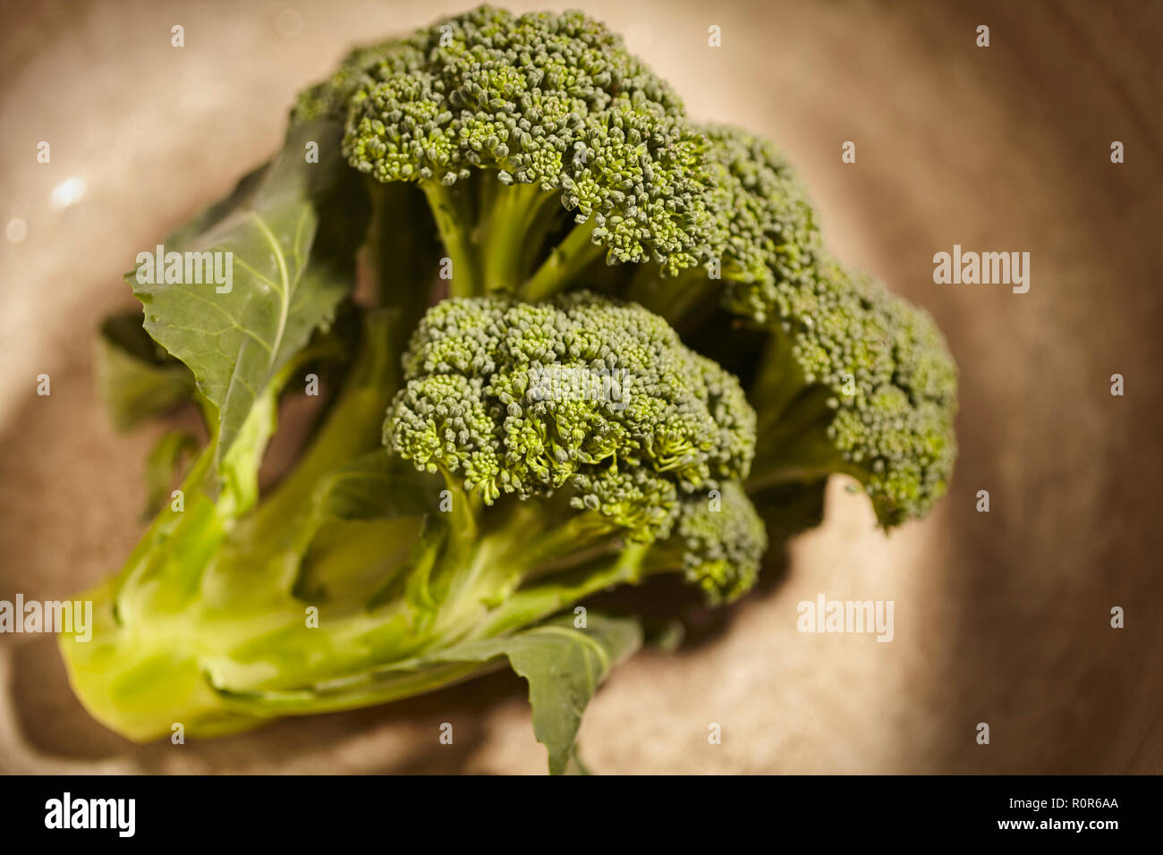 a crown of raw broccoli Stock Photo - Alamy