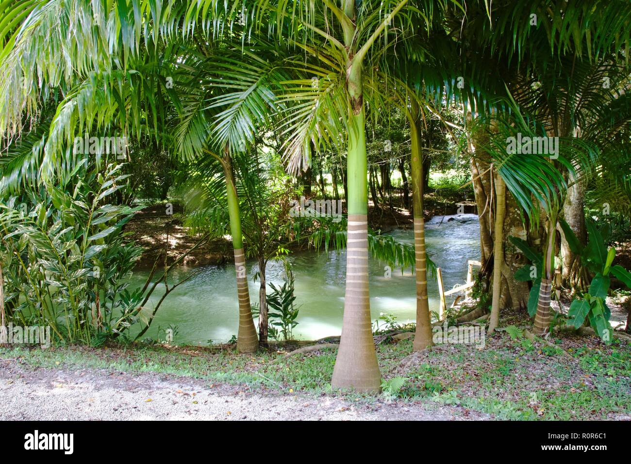 Ys falls jamaica hi-res stock photography and images - Alamy