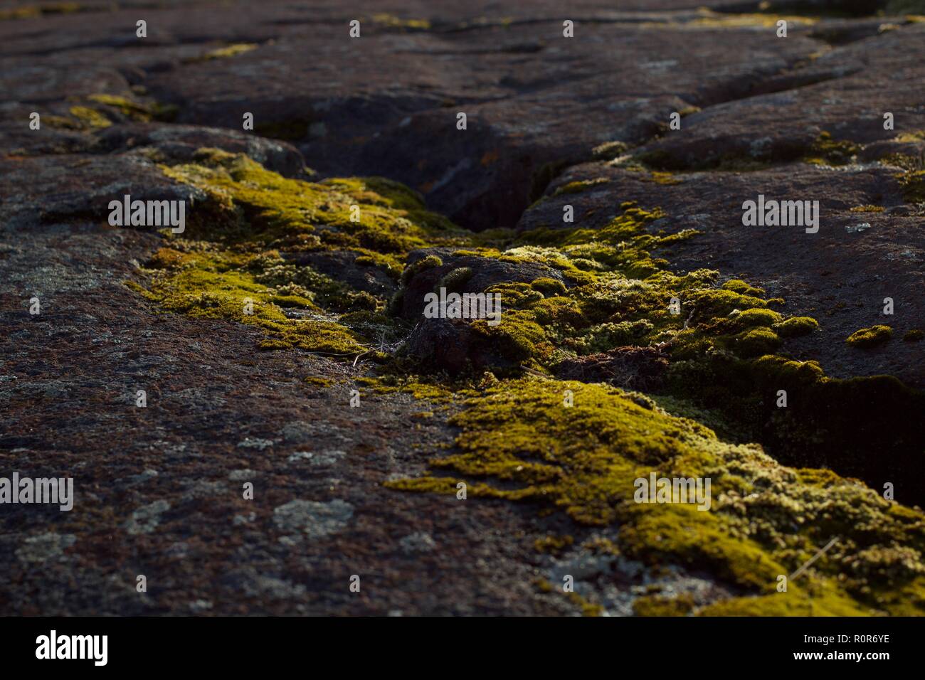 Mossy slope hi-res stock photography and images - Alamy