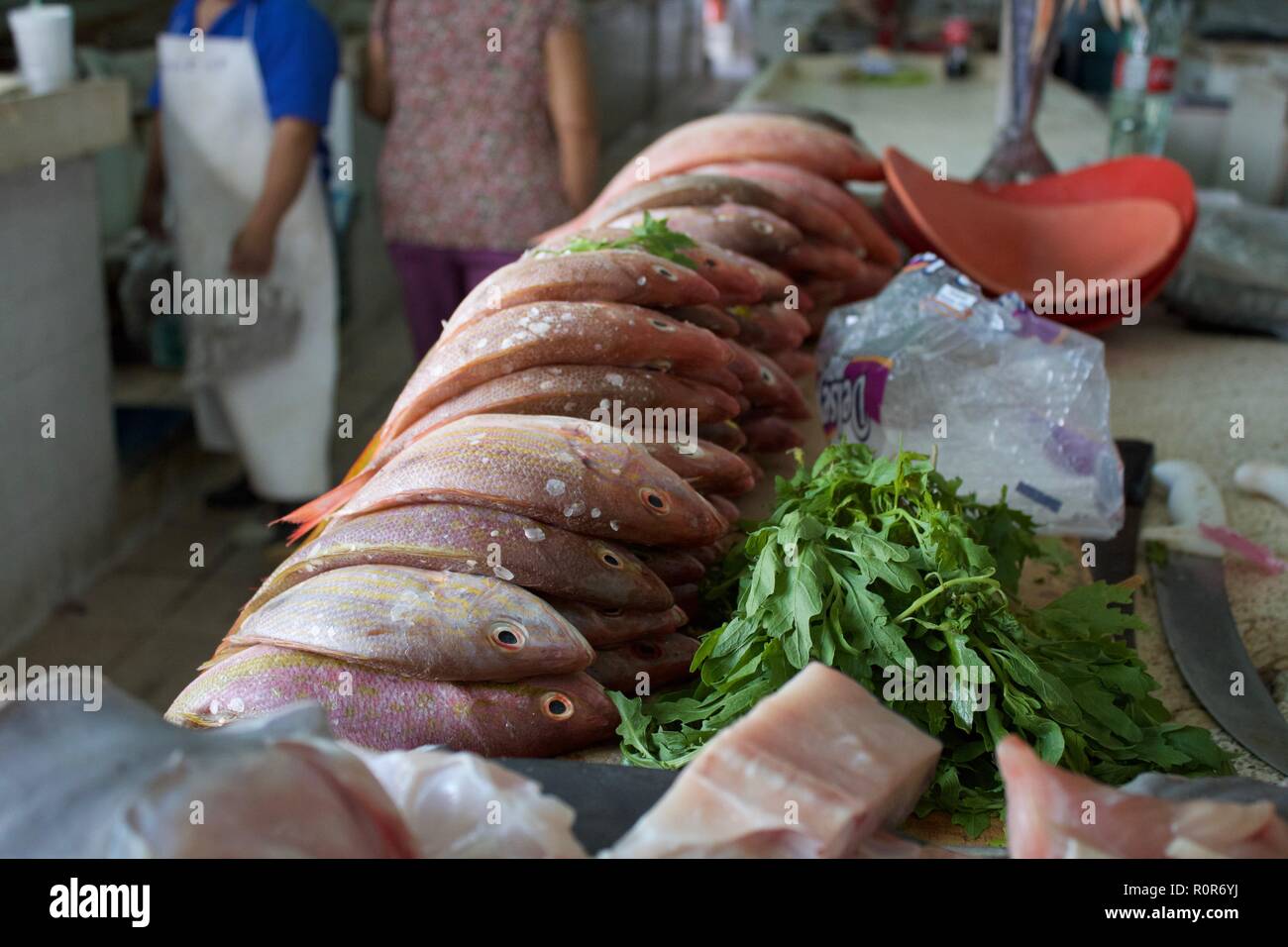 fish in the market Stock Photo - Alamy