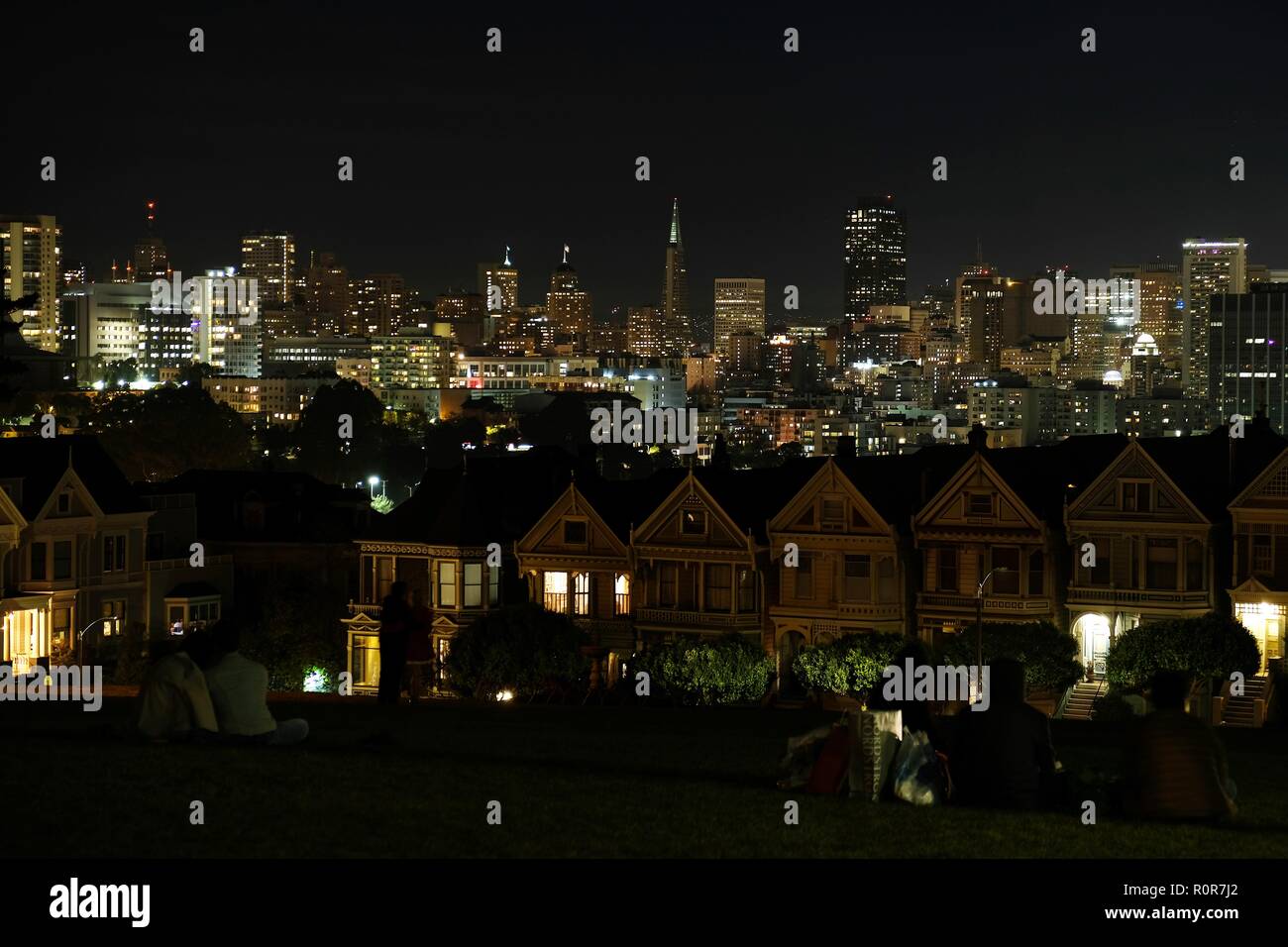 Nighttime view of the San Francisco skyline from the famed Painted ...
