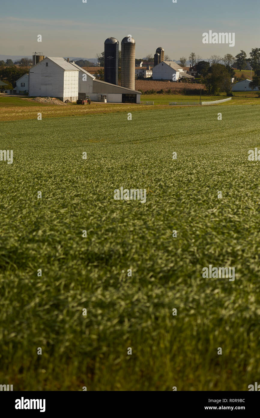 A farm in Pennsylvania Dutch Country at Farmersville,Lancaster County ...
