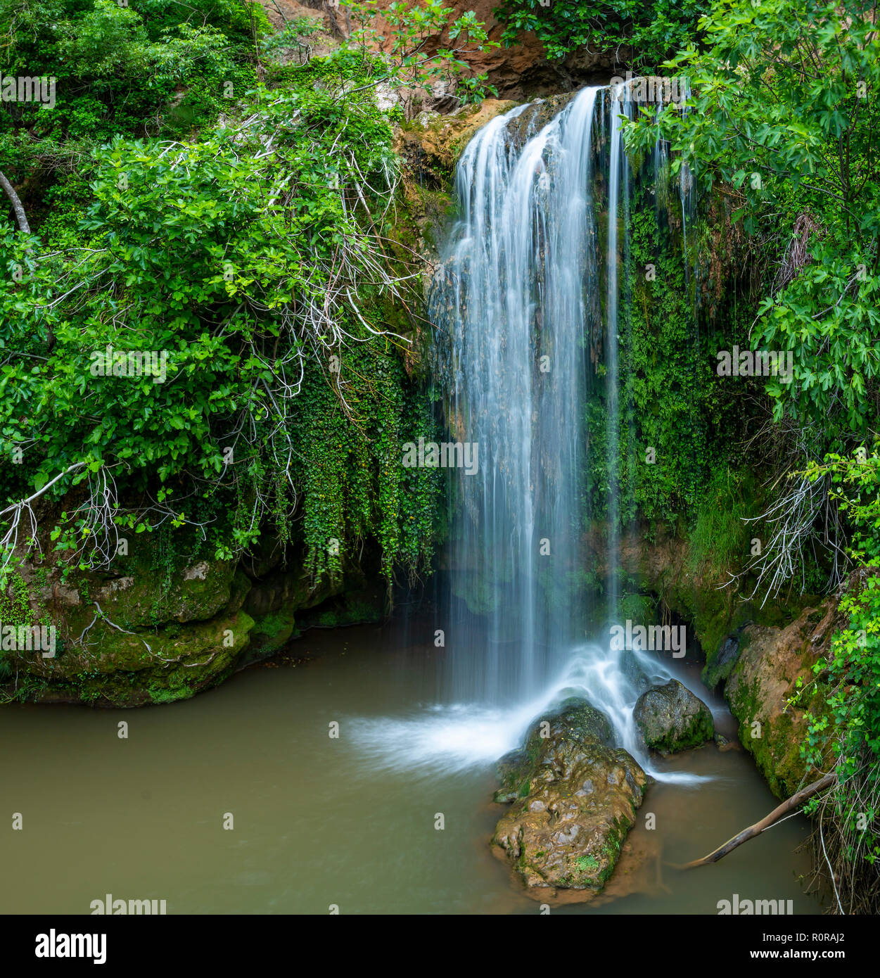 Clean cascade water flowing on rock to pond in green woods in long ...