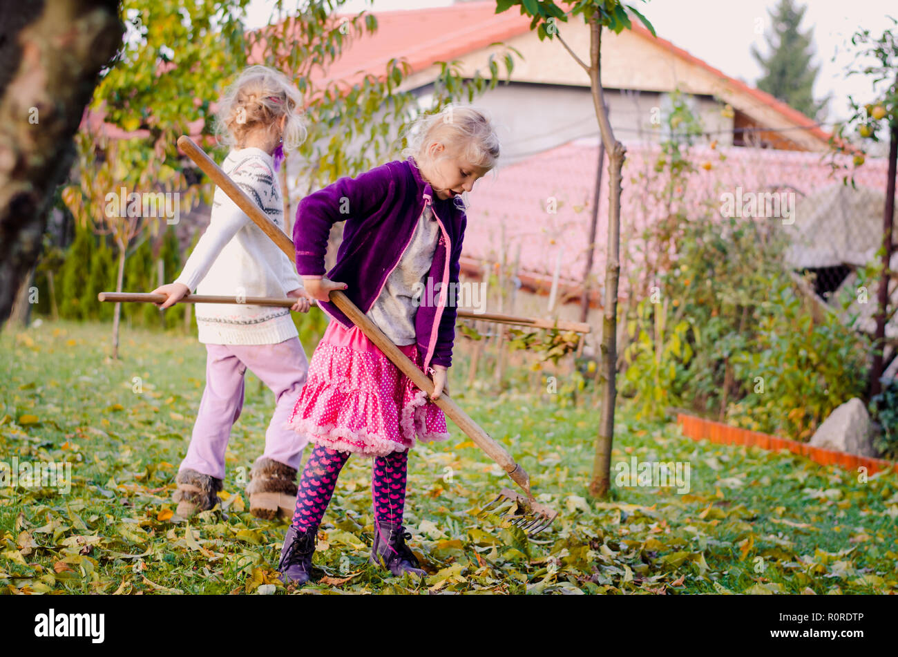 Children raking leaves hi-res stock photography and images - Alamy