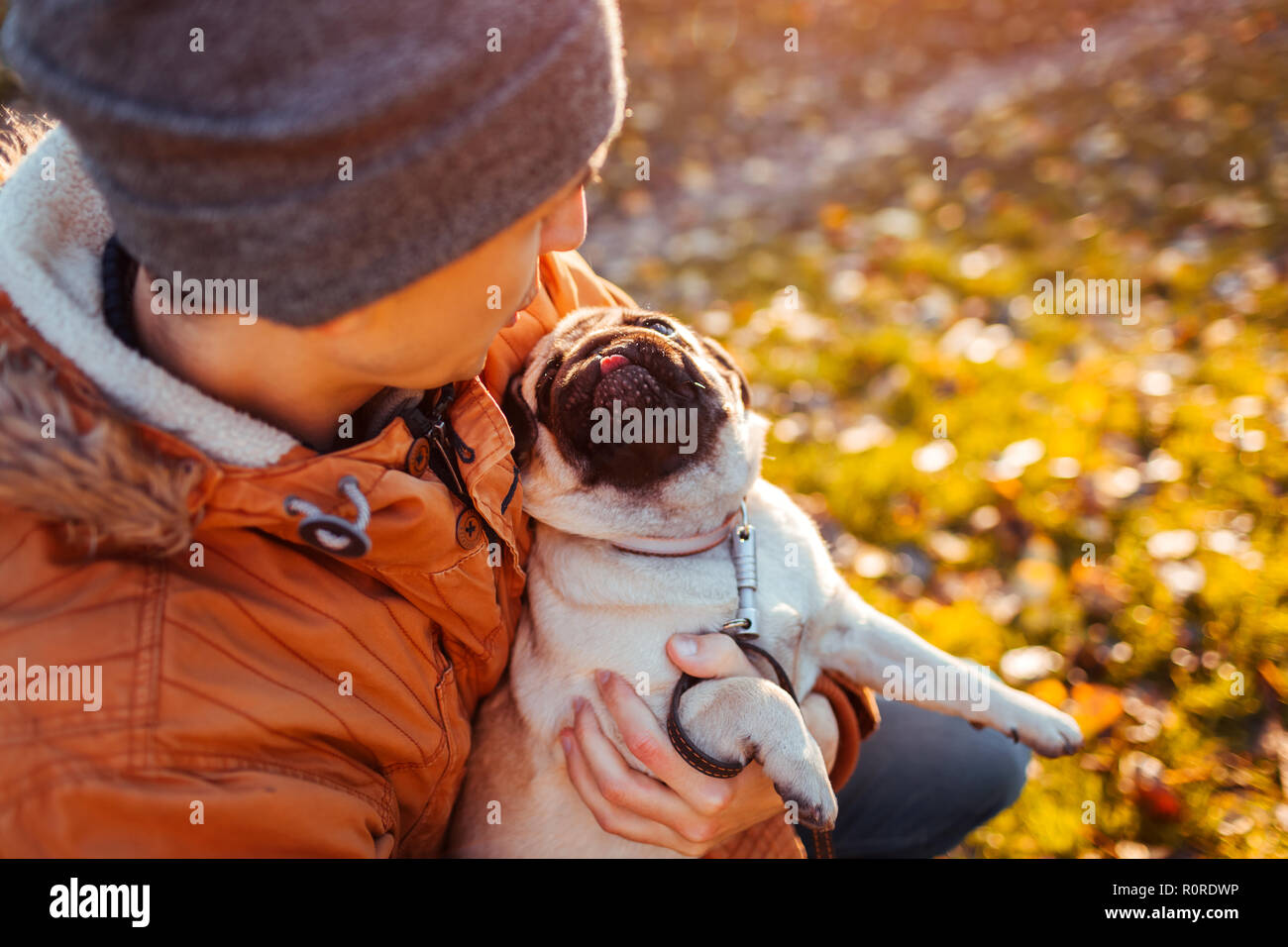 Dog looking at man and sunset hi-res stock photography and images - Alamy
