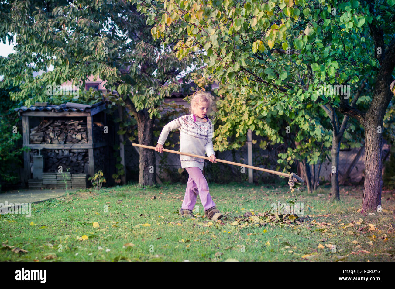 Children raking leaves hi-res stock photography and images - Alamy
