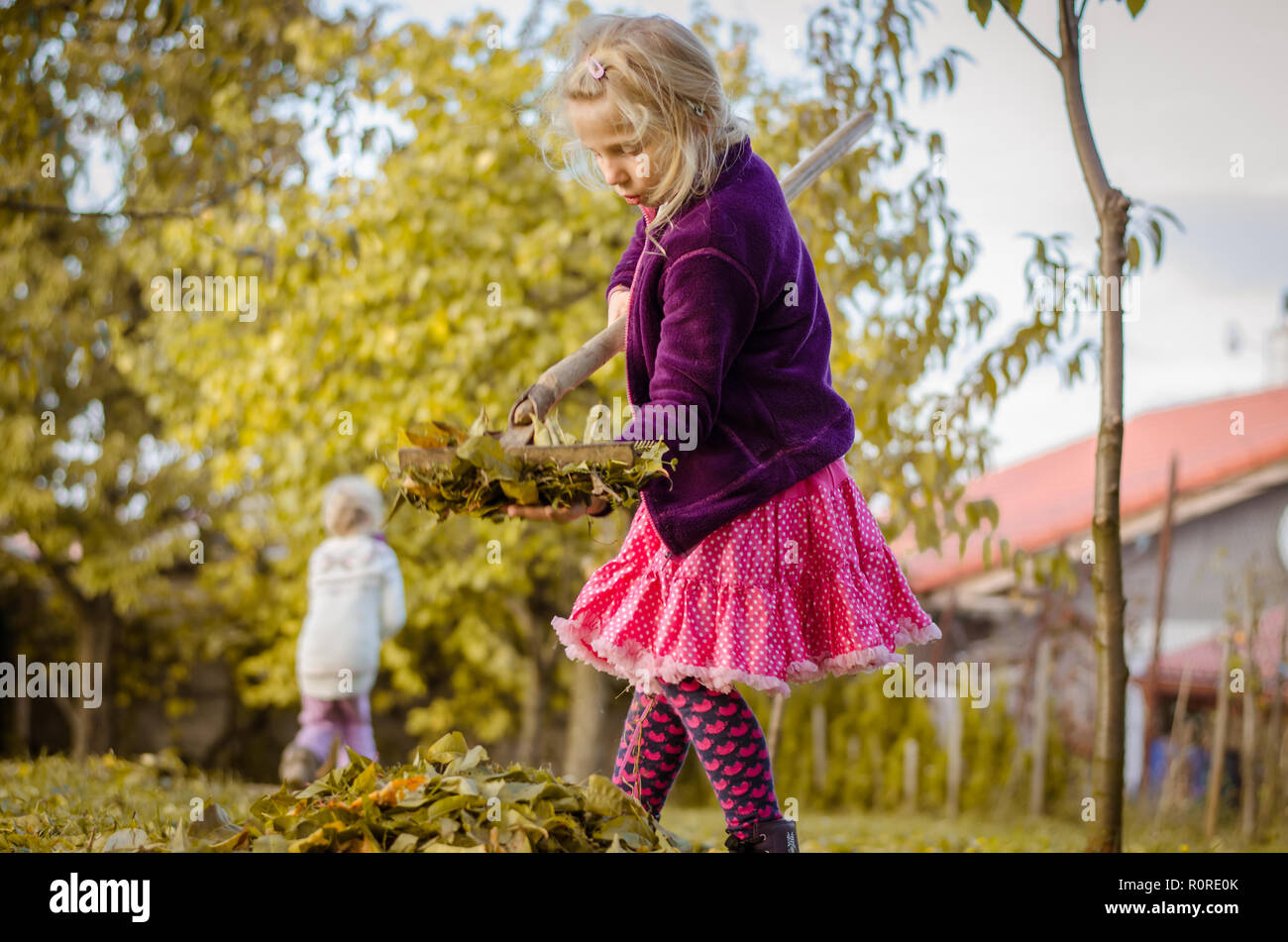 Kids in pile of leaves hi-res stock photography and images - Alamy